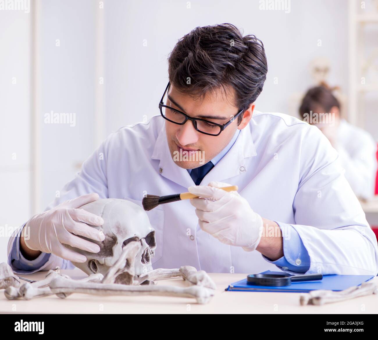 The professor studying human skeleton in lab Stock Photo - Alamy