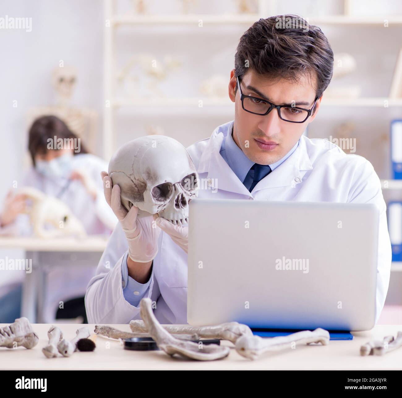 The professor studying human skeleton in lab Stock Photo - Alamy