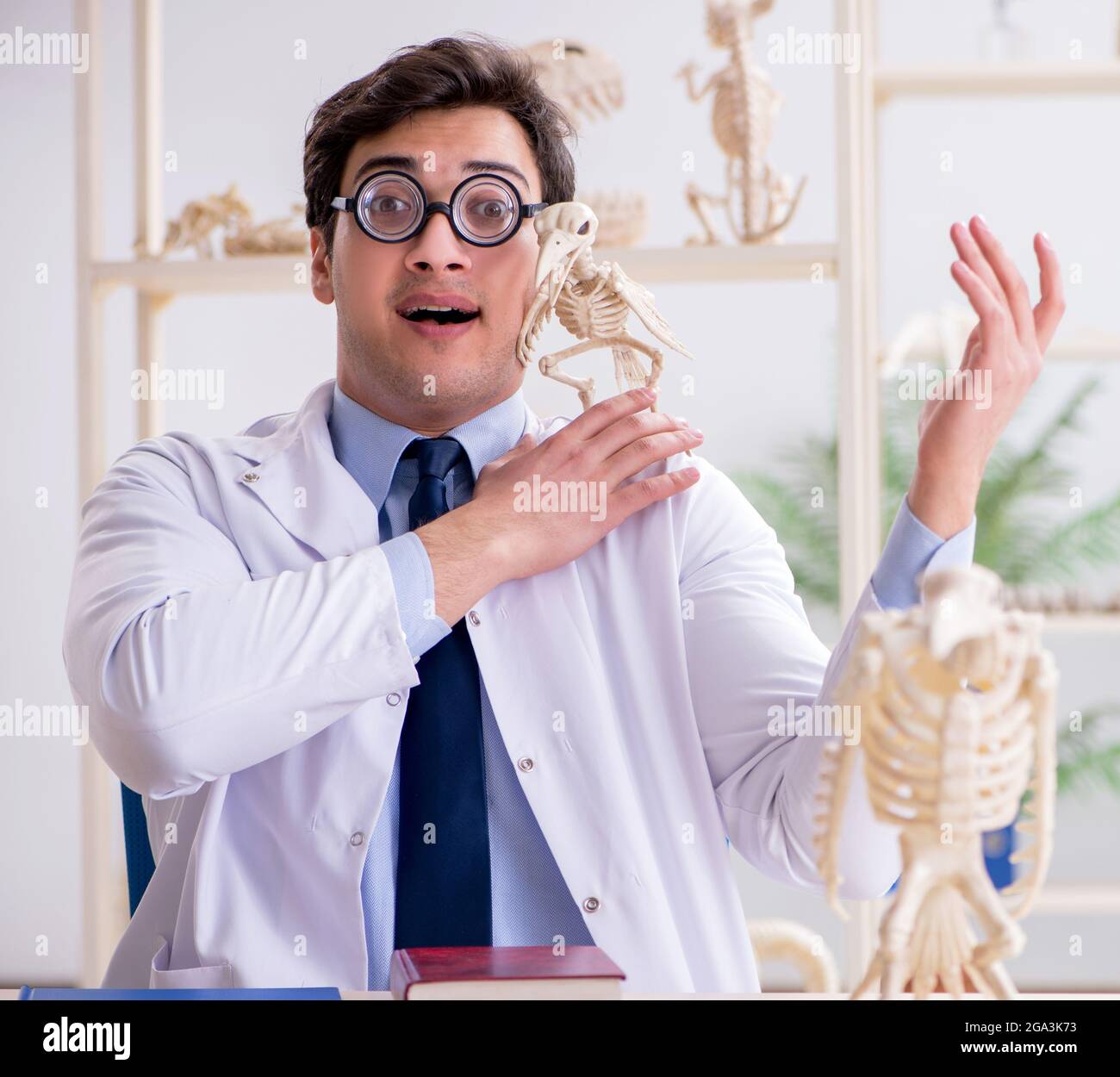 The funny crazy professor studying animal skeletons Stock Photo - Alamy