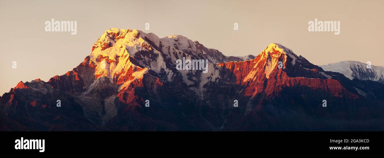Morning, sunset view of mount Annapurna, Nepal Himalayas mountains ...