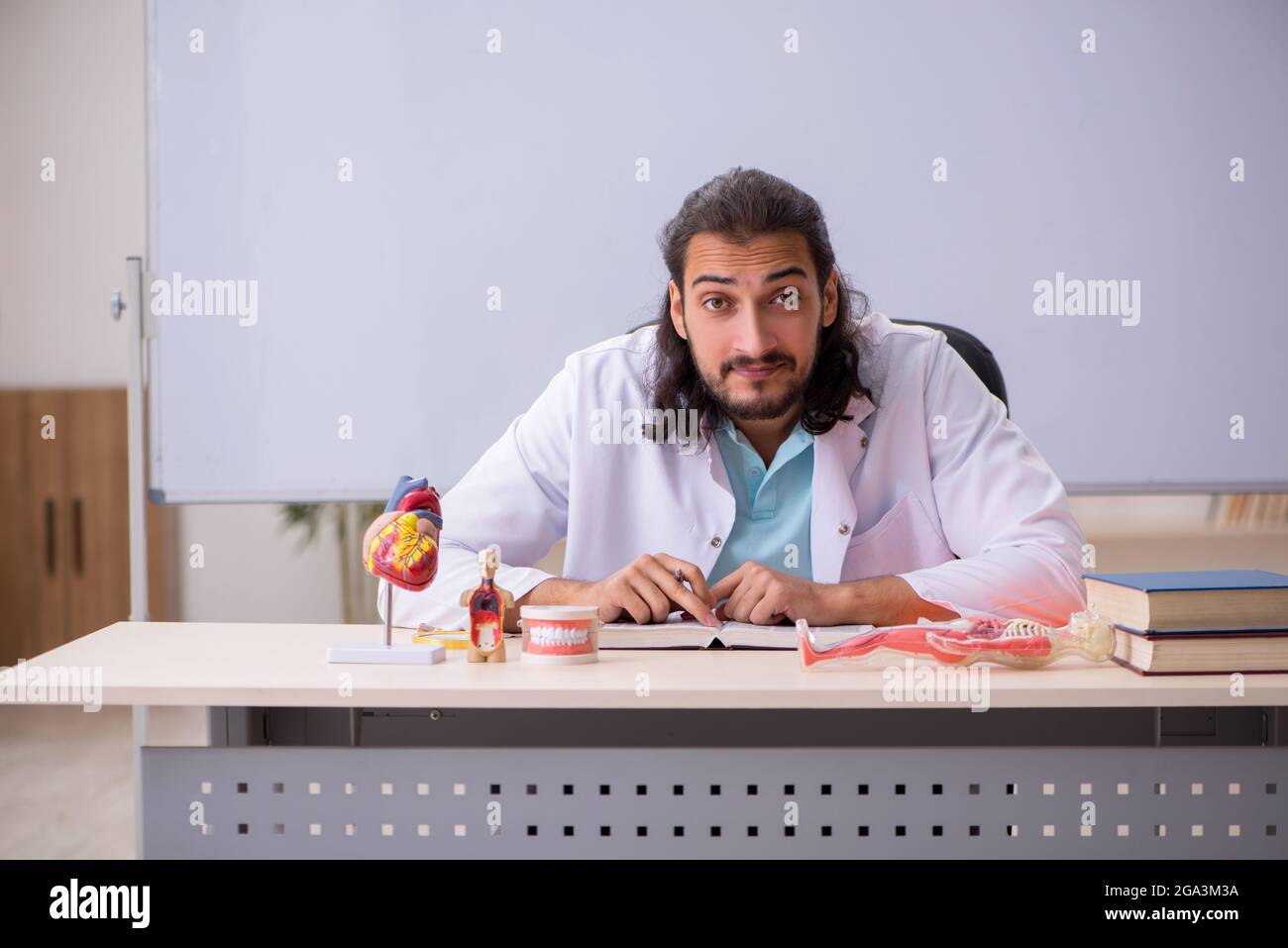 Young student studying human anatomy Stock Photo - Alamy