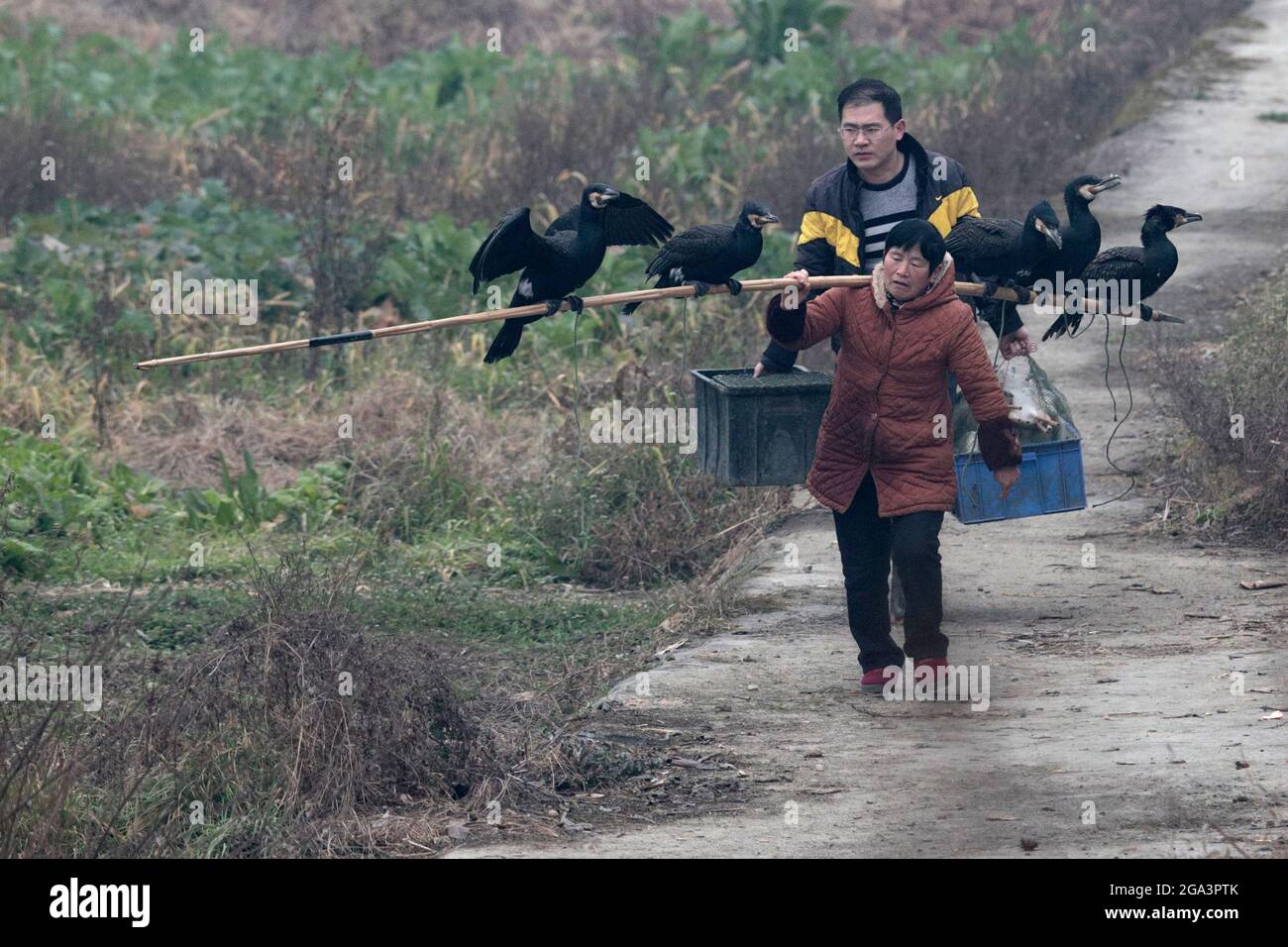 Bamboo carrying pole High Resolution Stock Photography and Images - Alamy