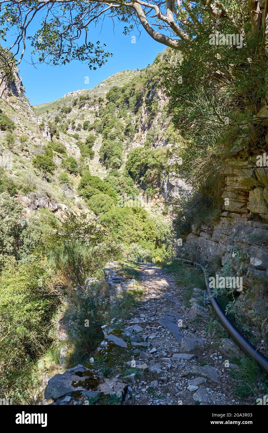 Natural scenery from the famous Ridomo gorge in Taygetus Mountain. The ...