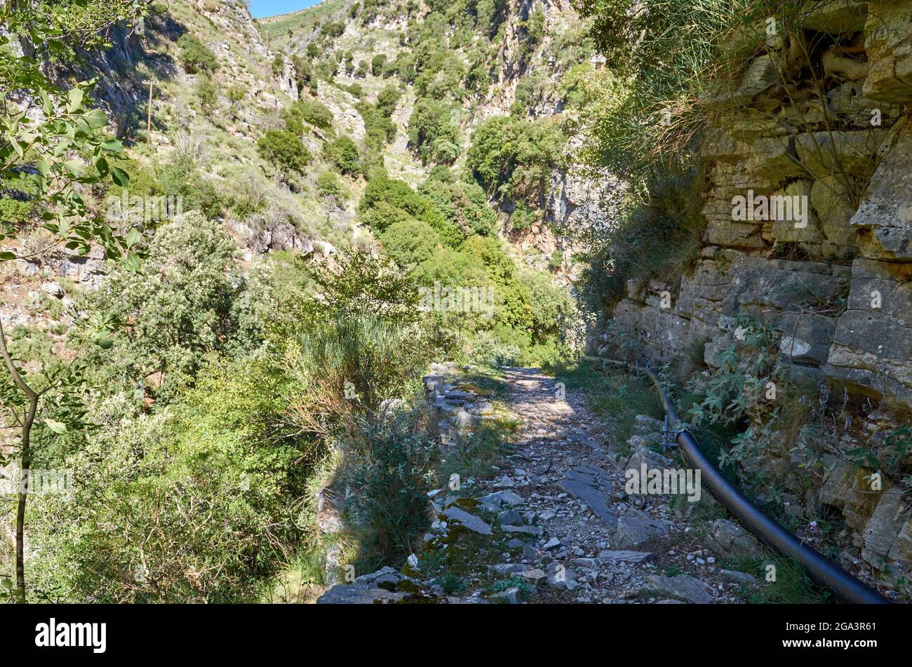 Natural scenery from the famous Ridomo gorge in Taygetus Mountain. The ...