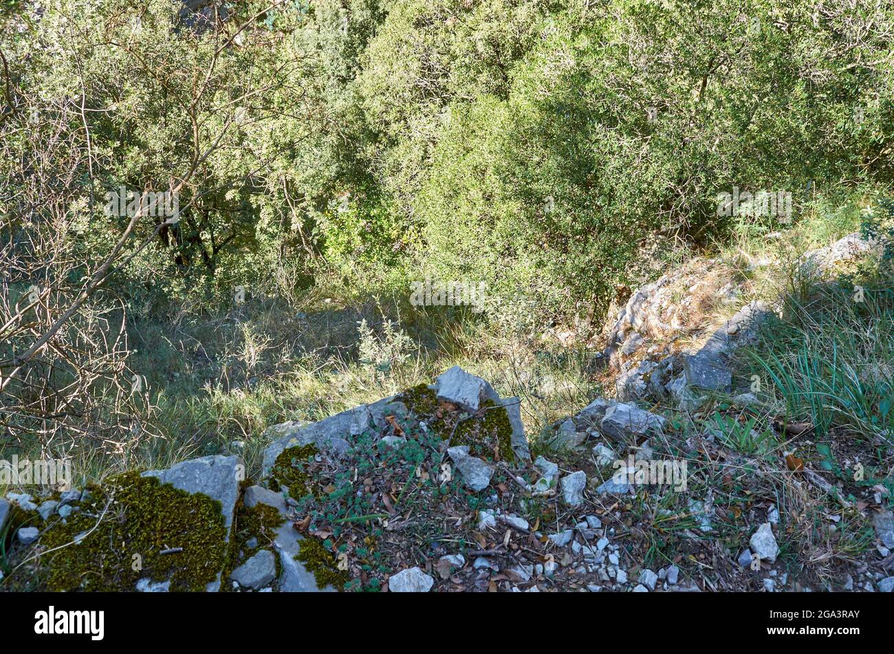 Natural scenery from the famous Ridomo gorge in Taygetus Mountain. The ...