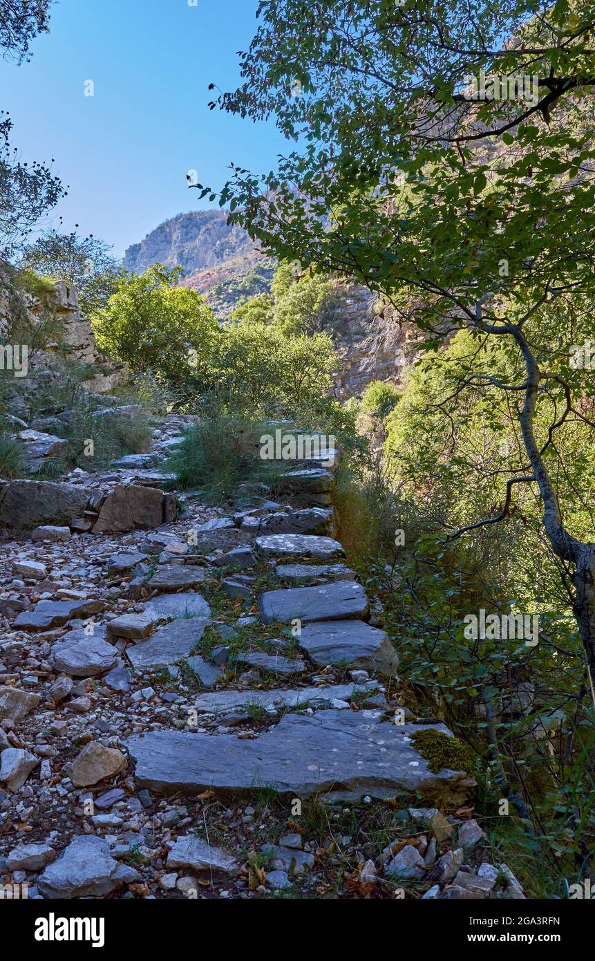 Natural scenery from the famous Ridomo gorge in Taygetus Mountain. The ...