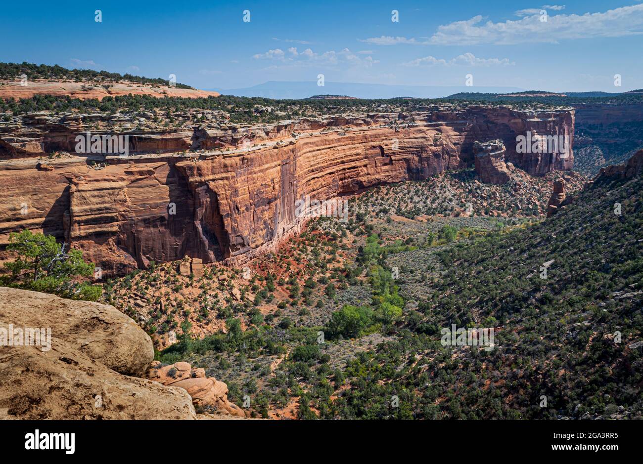 Looking down into the red rock formations and the canyon of the ...