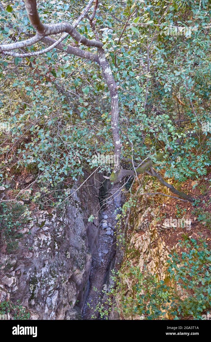 Natural scenery from the famous Ridomo gorge in Taygetus Mountain. The ...