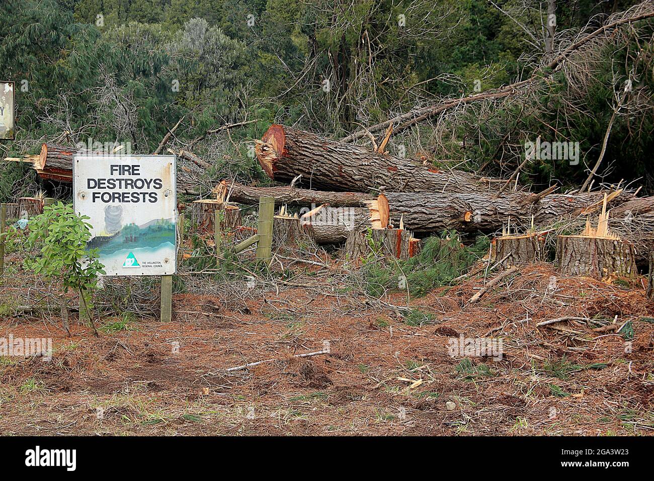 Ironic fire safety sign at clear felled forest Stock Photo - Alamy