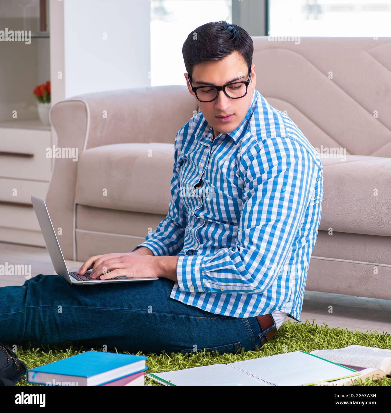 The student doing distance mba online training Stock Photo - Alamy