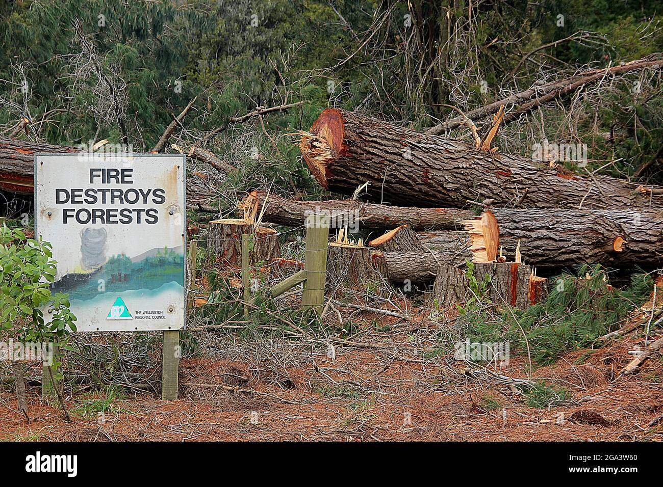 Ironic fire safety sign at clear felled forest Stock Photo - Alamy