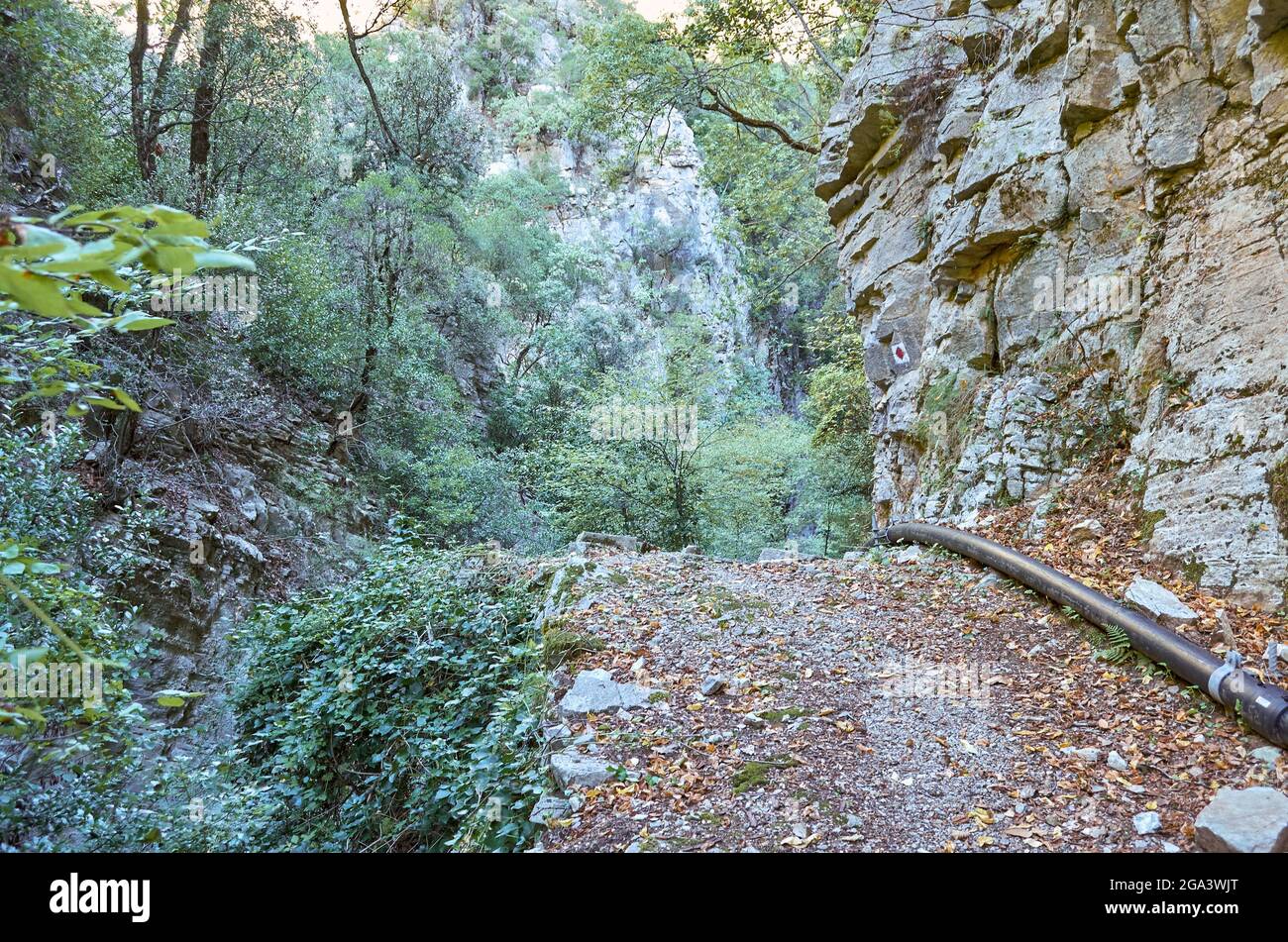Natural scenery from the famous Ridomo gorge in Taygetus Mountain. The ...