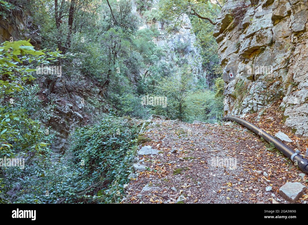 Natural scenery from the famous Ridomo gorge in Taygetus Mountain. The ...