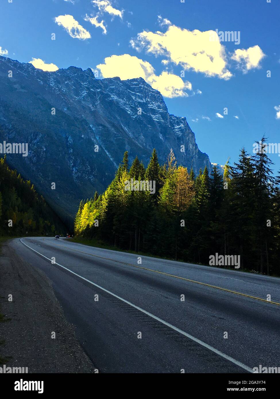 Banff mountain and trees Stock Photo - Alamy