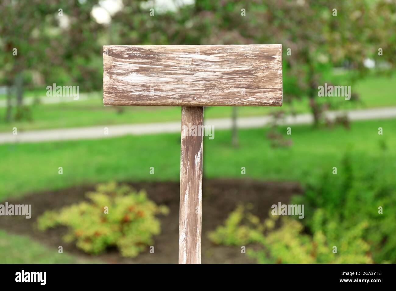 Wooden signboard on nature background Stock Photo - Alamy