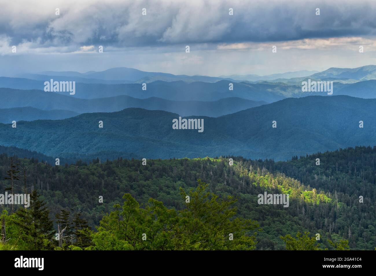 Clingmans Dome with a ray of light, Great Smoky Mountains National Park ...