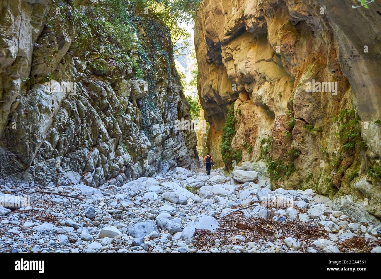 Natural scenery from the famous Ridomo gorge in Taygetus Mountain. The ...