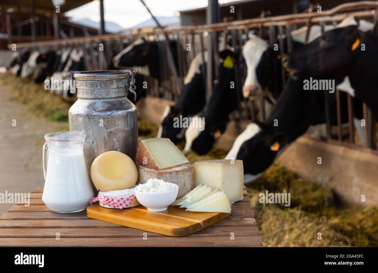 Image of dairy products on the farm Stock Photo - Alamy