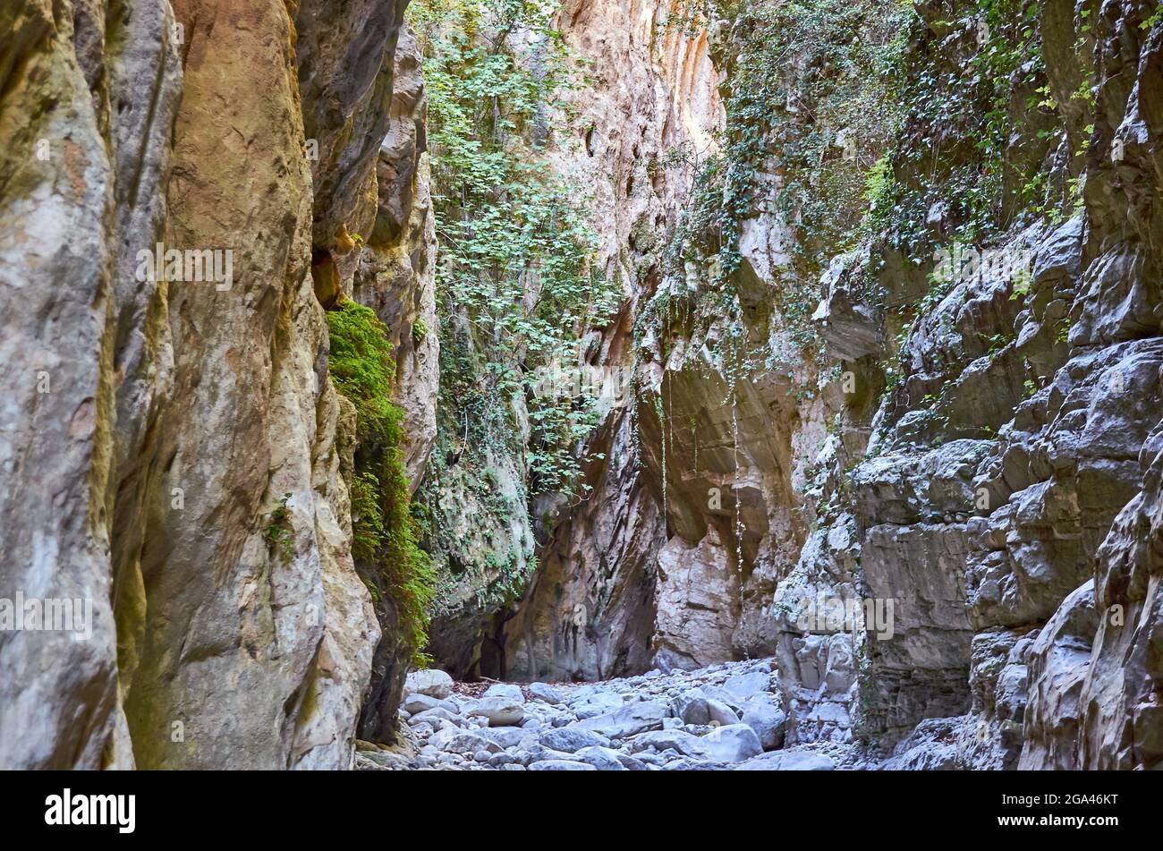 Natural scenery from the famous Ridomo gorge in Taygetus Mountain. The ...