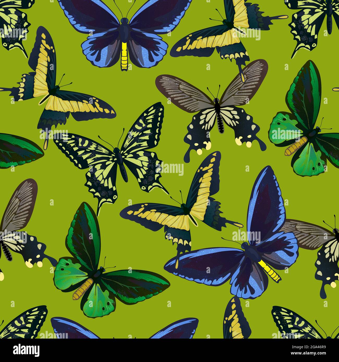 Seamless pattern with colorful big tropical butterflies, swallowtail ...