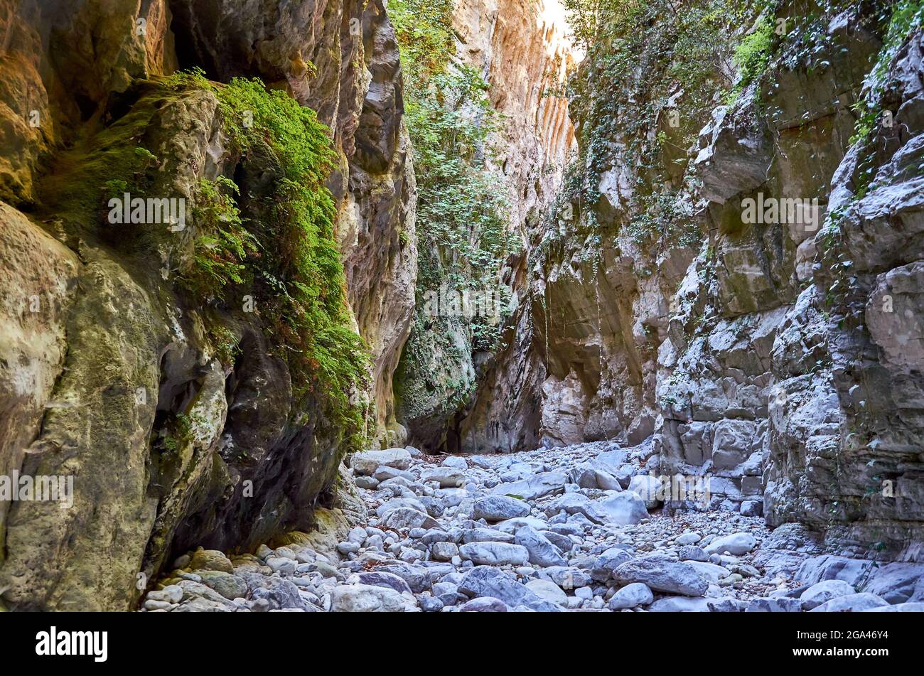 Natural scenery from the famous Ridomo gorge in Taygetus Mountain. The ...