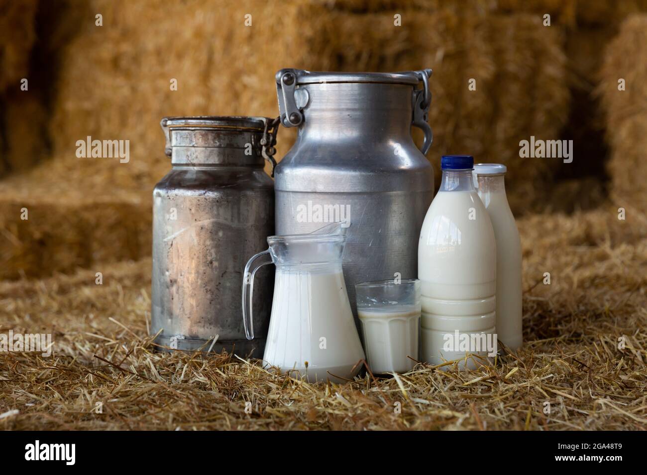 Fresh natural milk in decanter and cans on farm hayloft Stock Photo - Alamy