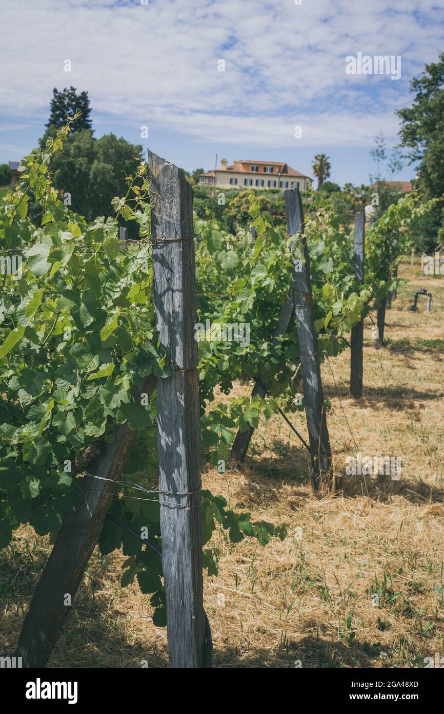 South France Winery High Resolution Stock Photography and Images - Alamy
