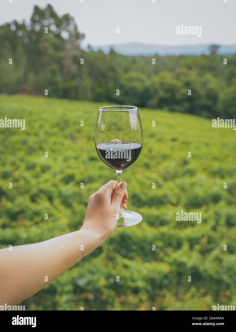 Wine toast glass hand hi-res stock photography and images - Alamy