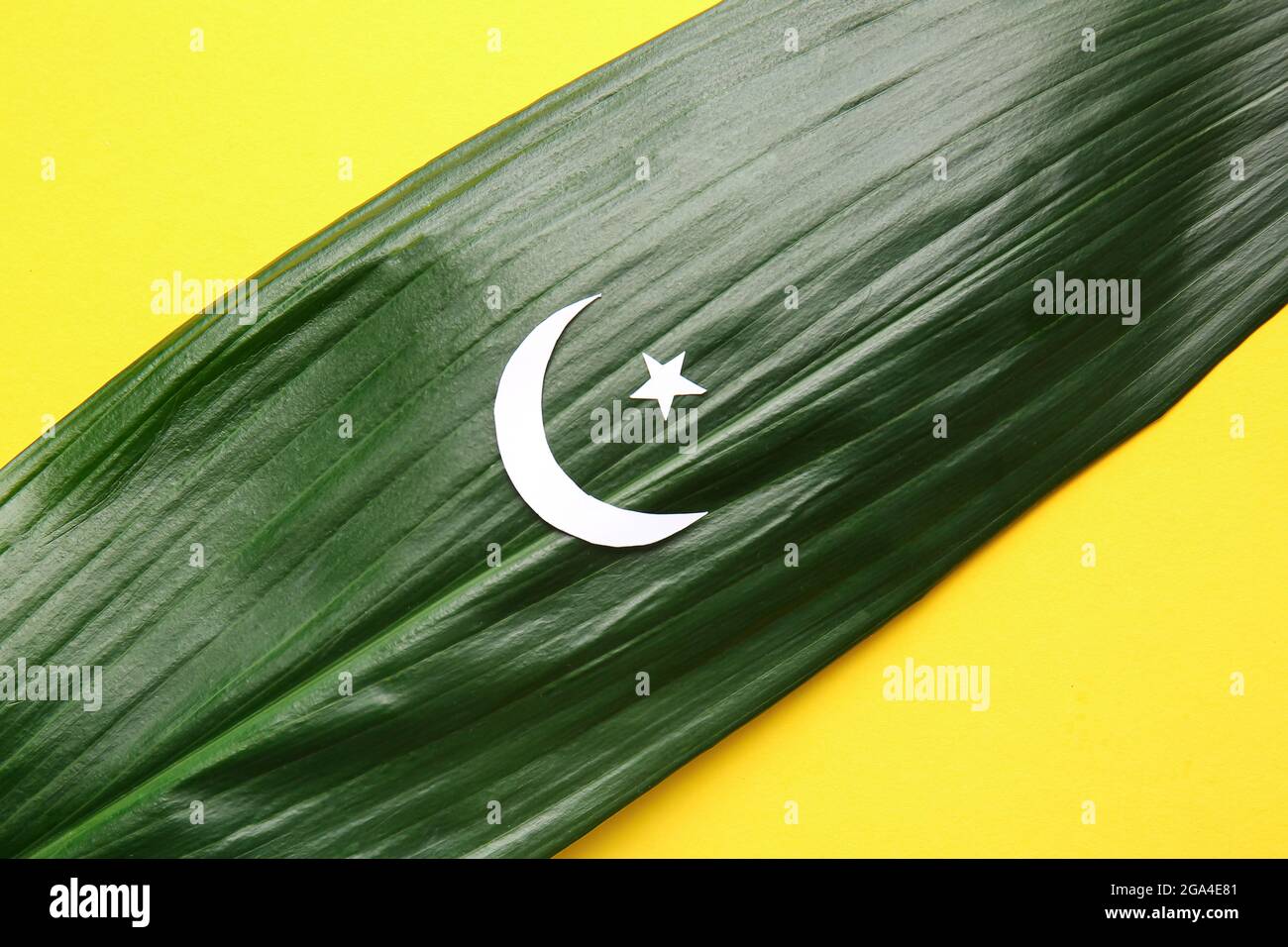 Flag of Pakistan made of green leaf on color background Stock Photo - Alamy