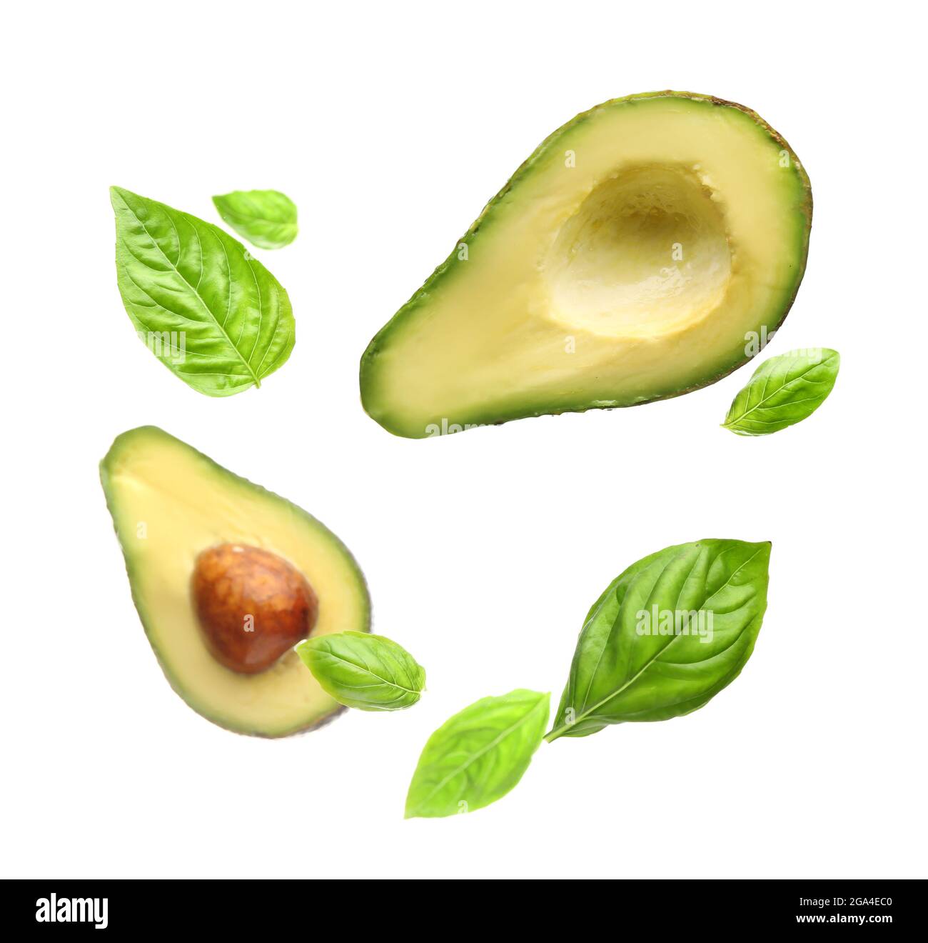 Flying avocado and basil leaves on white background Stock Photo - Alamy