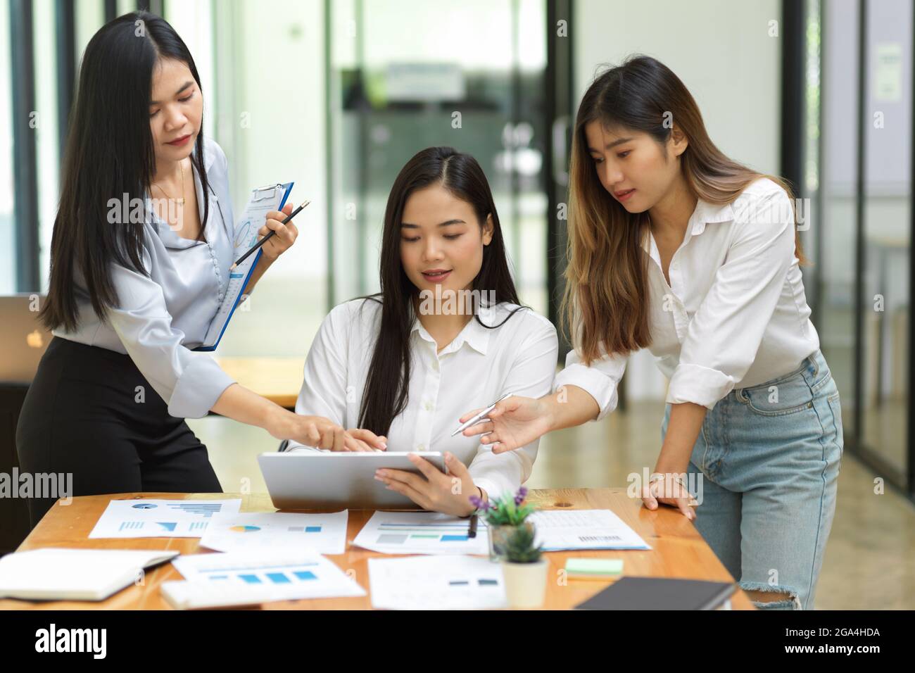 Young female business team discussing and analysing their project ...