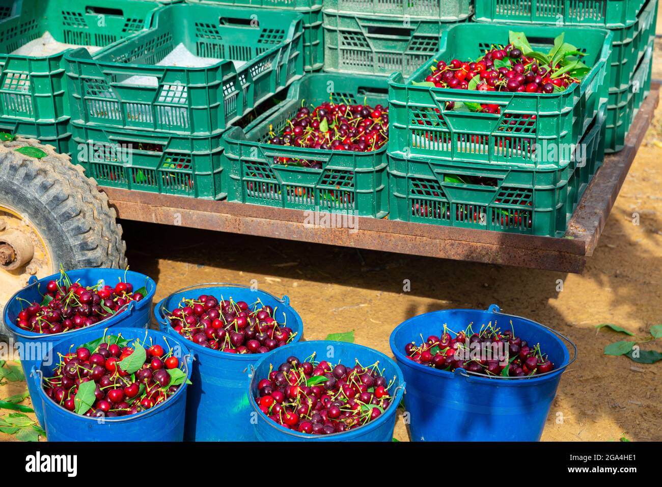 Stacked produce boxes hi-res stock photography and images - Alamy