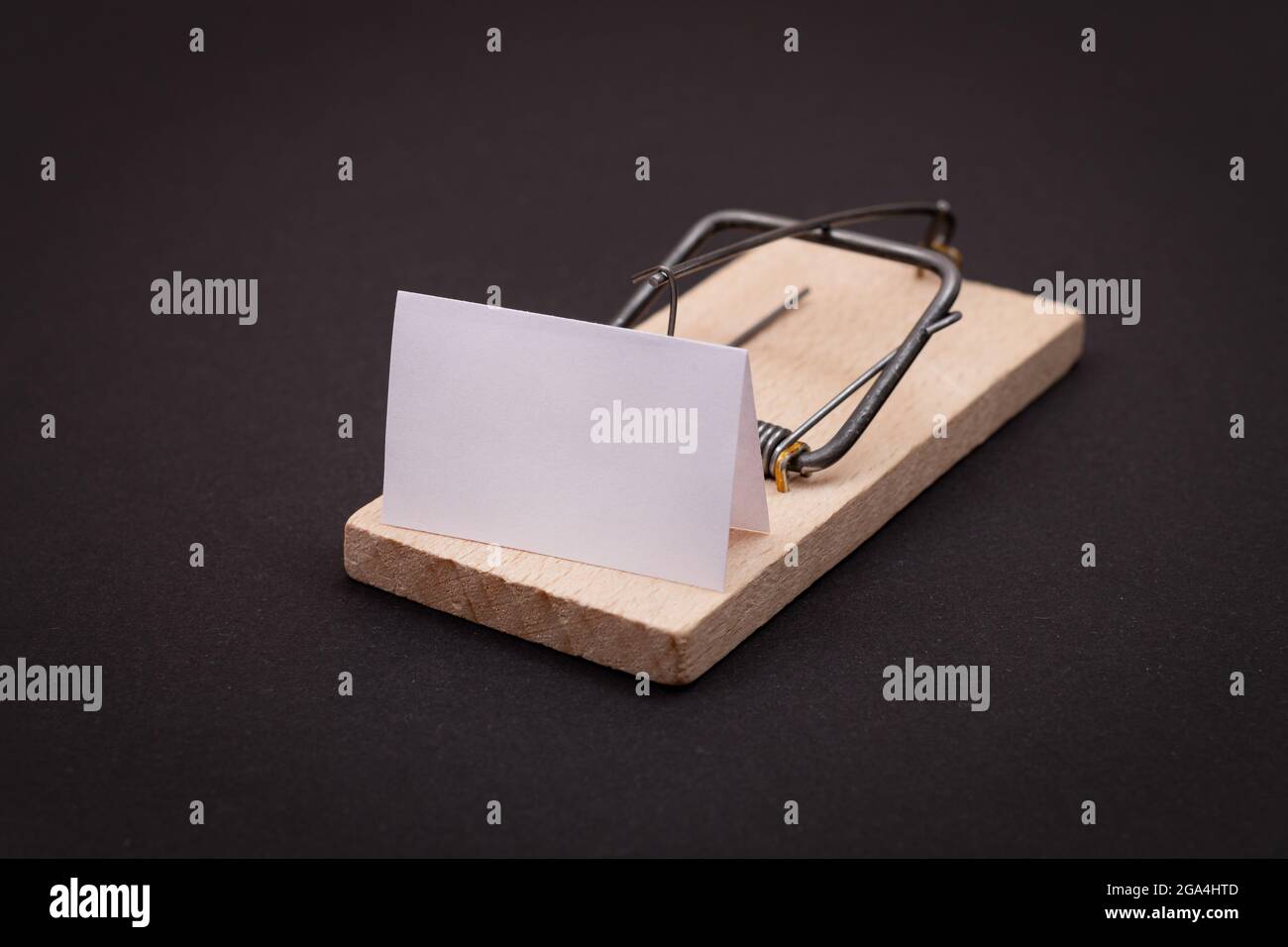 Empty mousetrap hi-res stock photography and images - Alamy