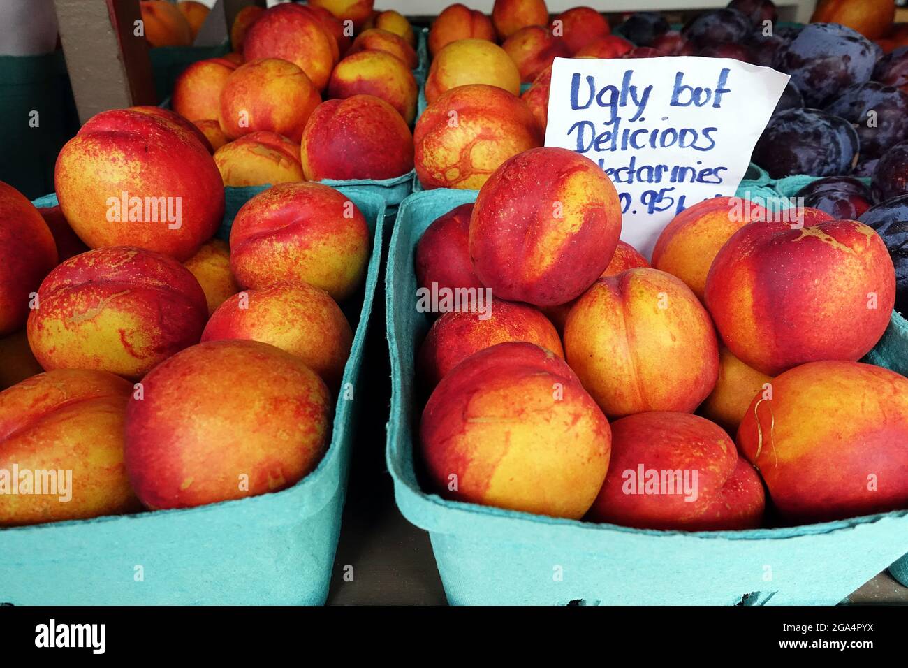 Fresh nectarines in small paper buckets for sale in a fruit stand Stock ...