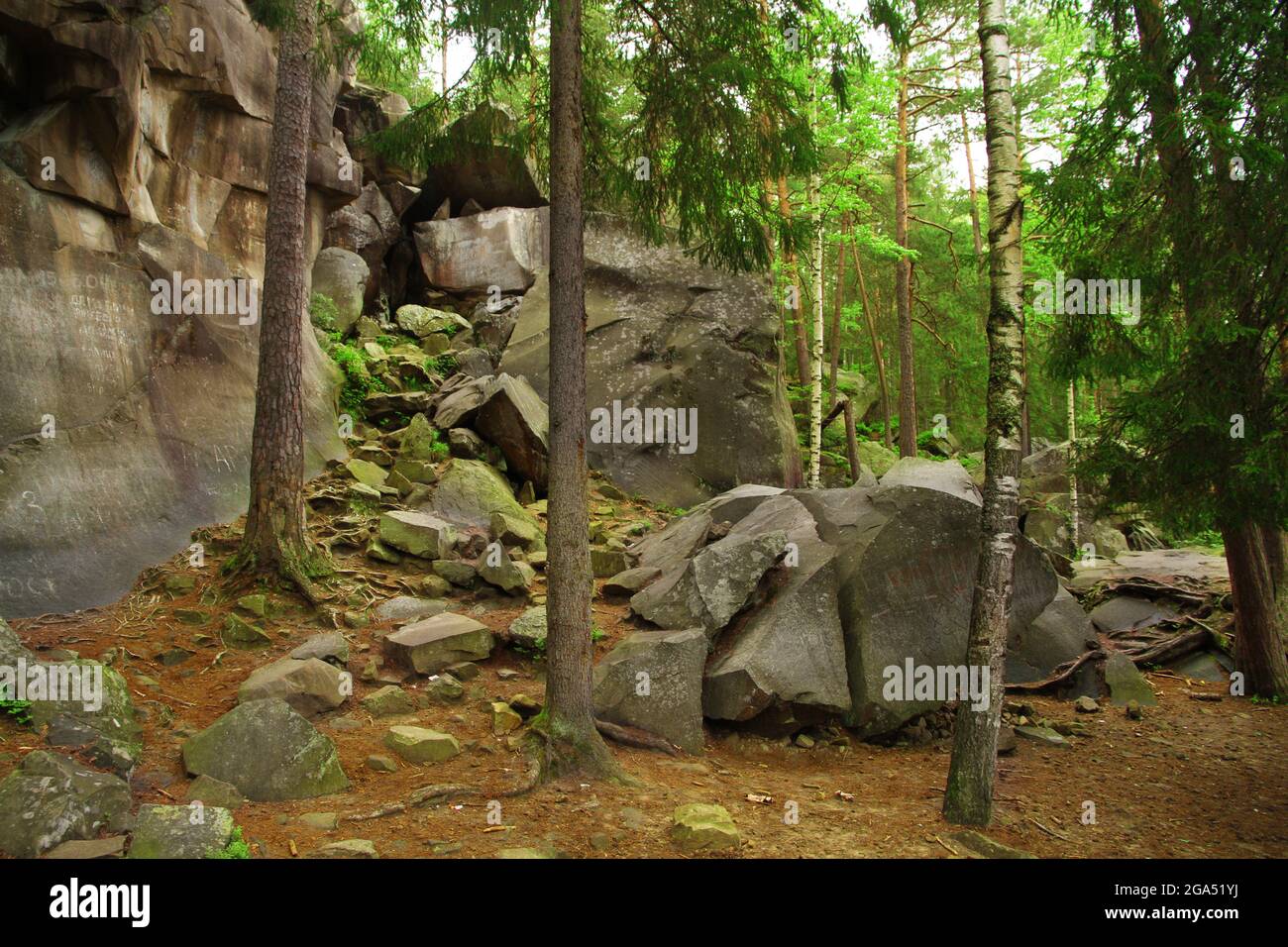 Rocks and trunks of trees in park Stock Photo - Alamy