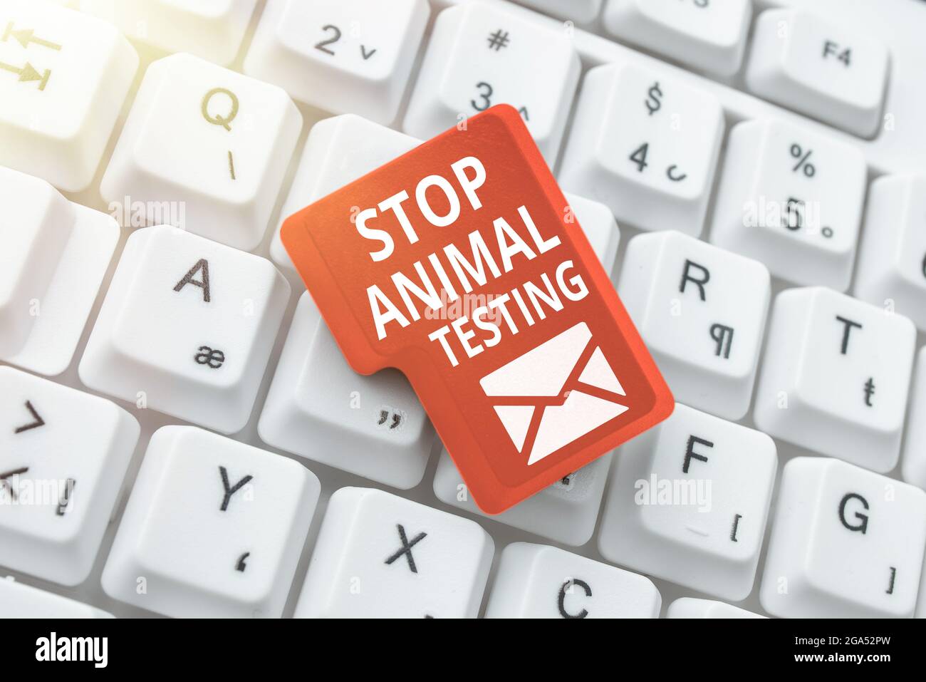 Text showing inspiration Stop Animal Testing. Word for put an end on ... Text showing inspiration Stop Animal Testing. Word for put an end on ...