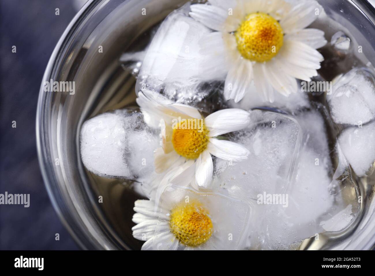Glass of cold chamomile tea with ice cubes and chamomile flowers, close ...