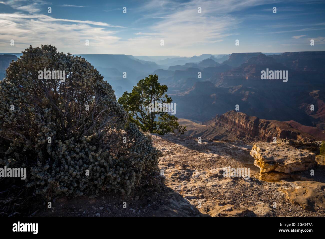 An overlooking landscape view of Grand Canyon National Park, Arizona ...
