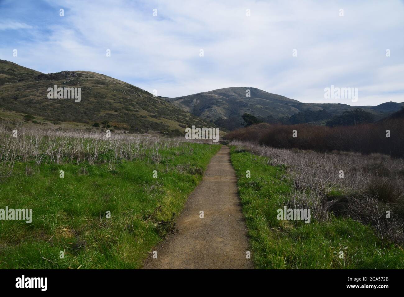 A view of the scenery in Marin County, California Stock Photo - Alamy