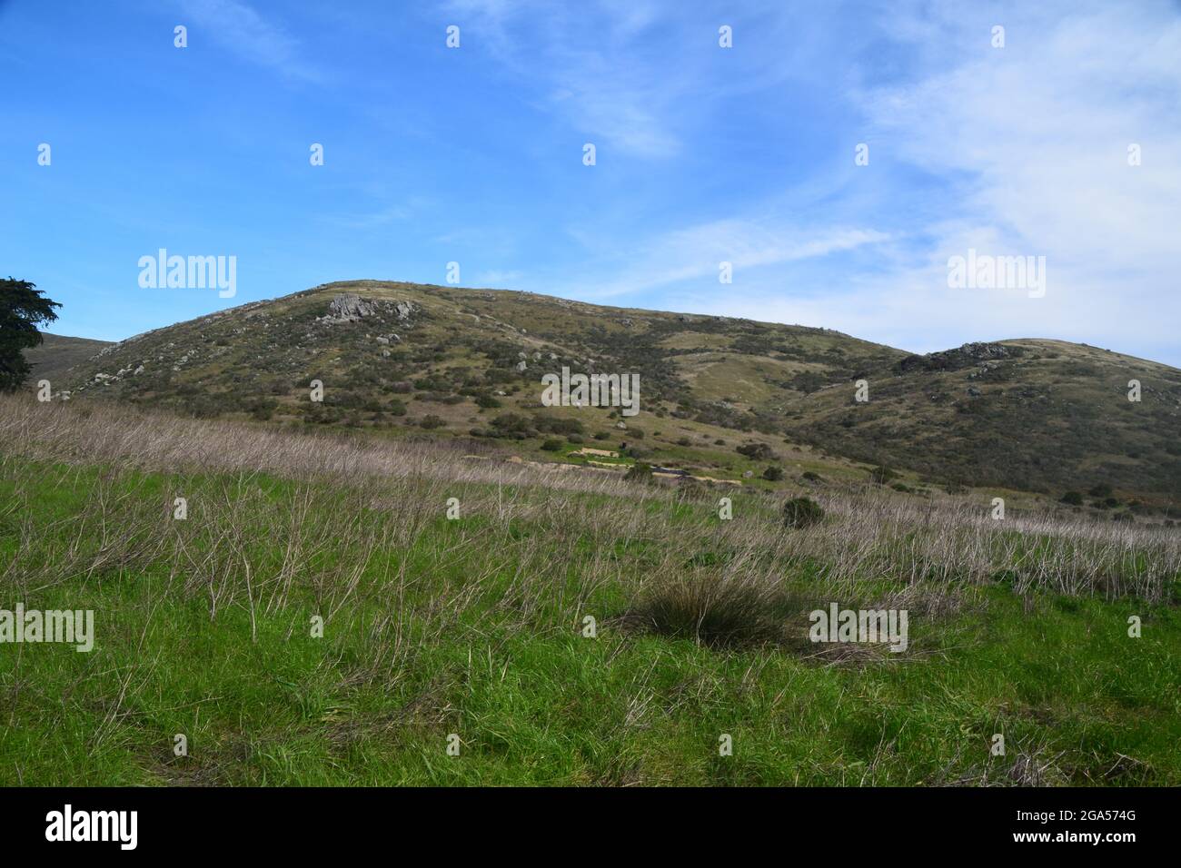 A view of the scenery in Marin County, California Stock Photo - Alamy