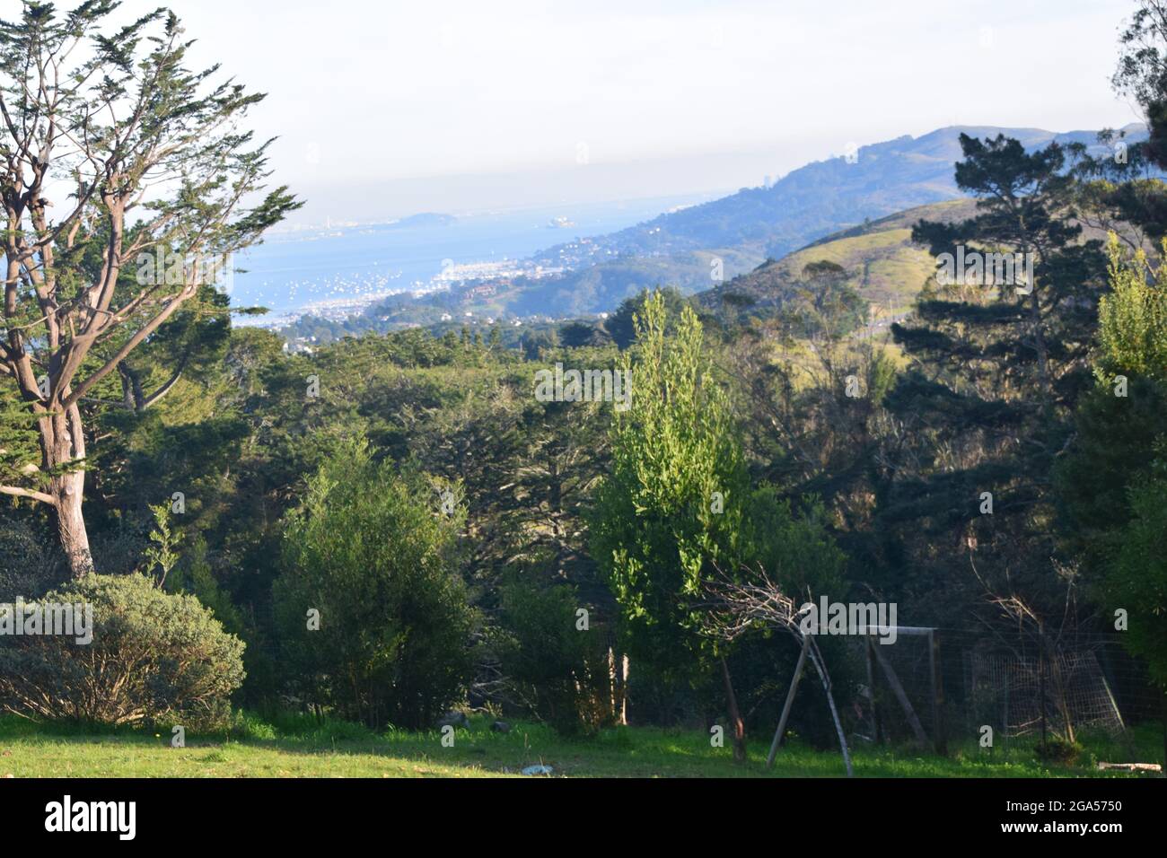 A view of the scenery in Marin County, California Stock Photo - Alamy