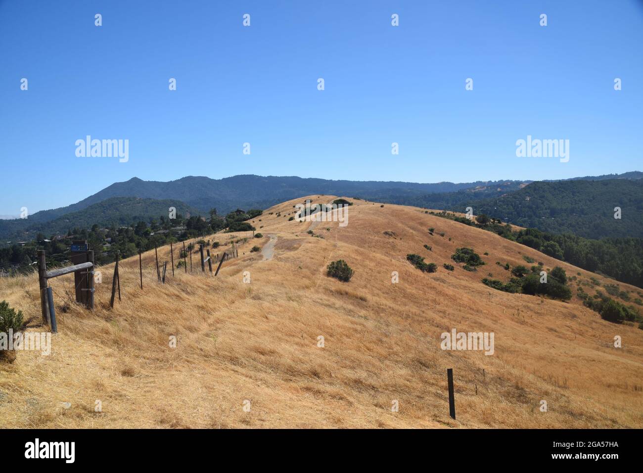 A view of the scenery in Marin County, California Stock Photo - Alamy