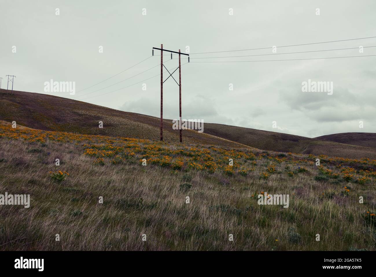 Beautiful landscape with a transmission tower Stock Photo - Alamy
