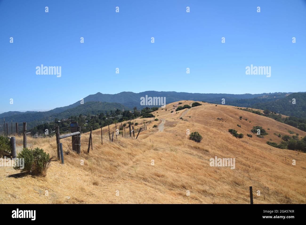 A view of the scenery in Marin County, California Stock Photo - Alamy