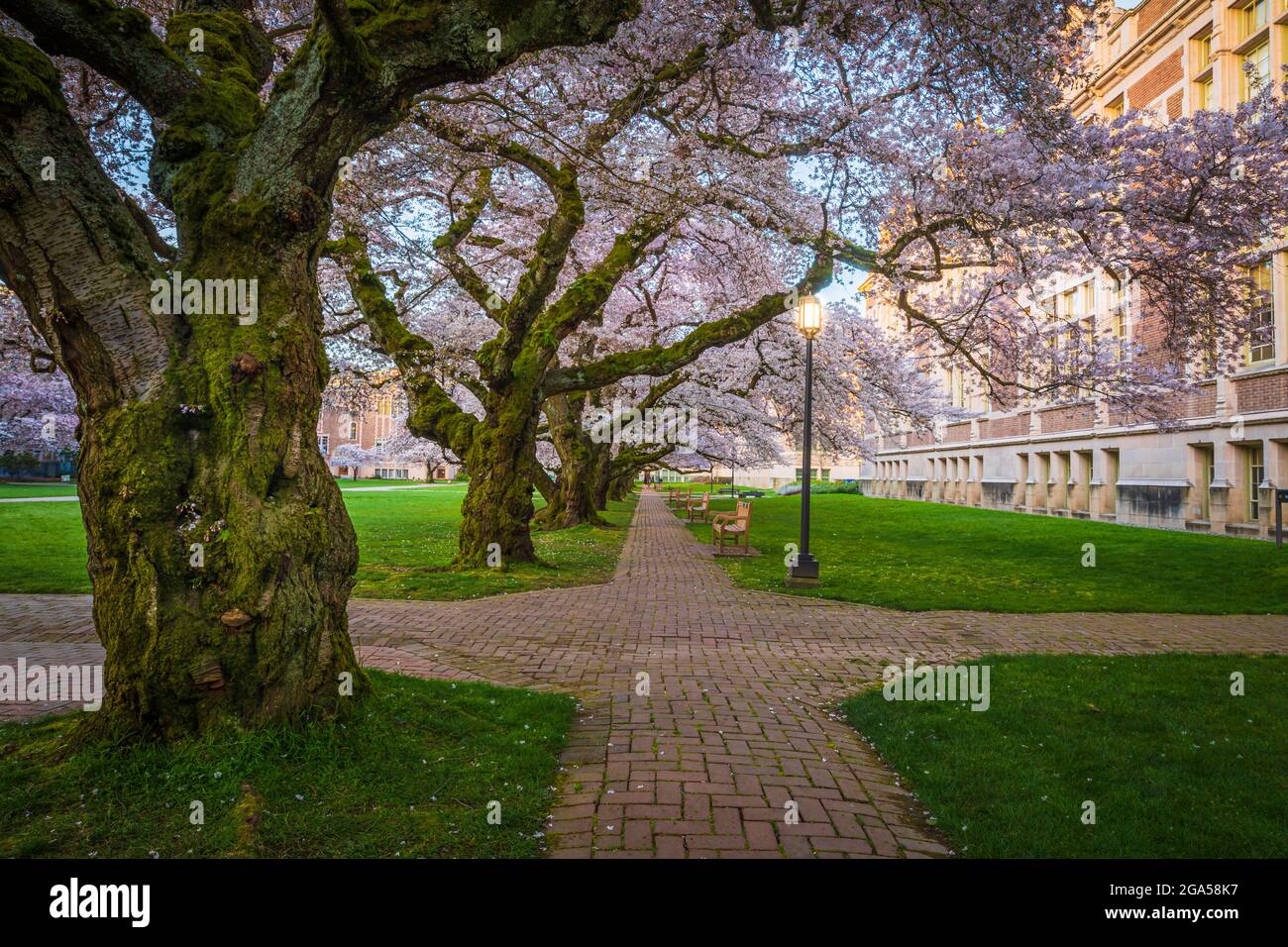 Seattle public school hi-res stock photography and images - Alamy