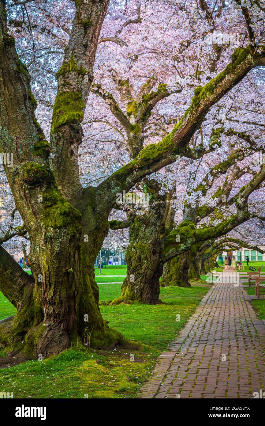 The University of Washington (commonly referred to as Washington or ...