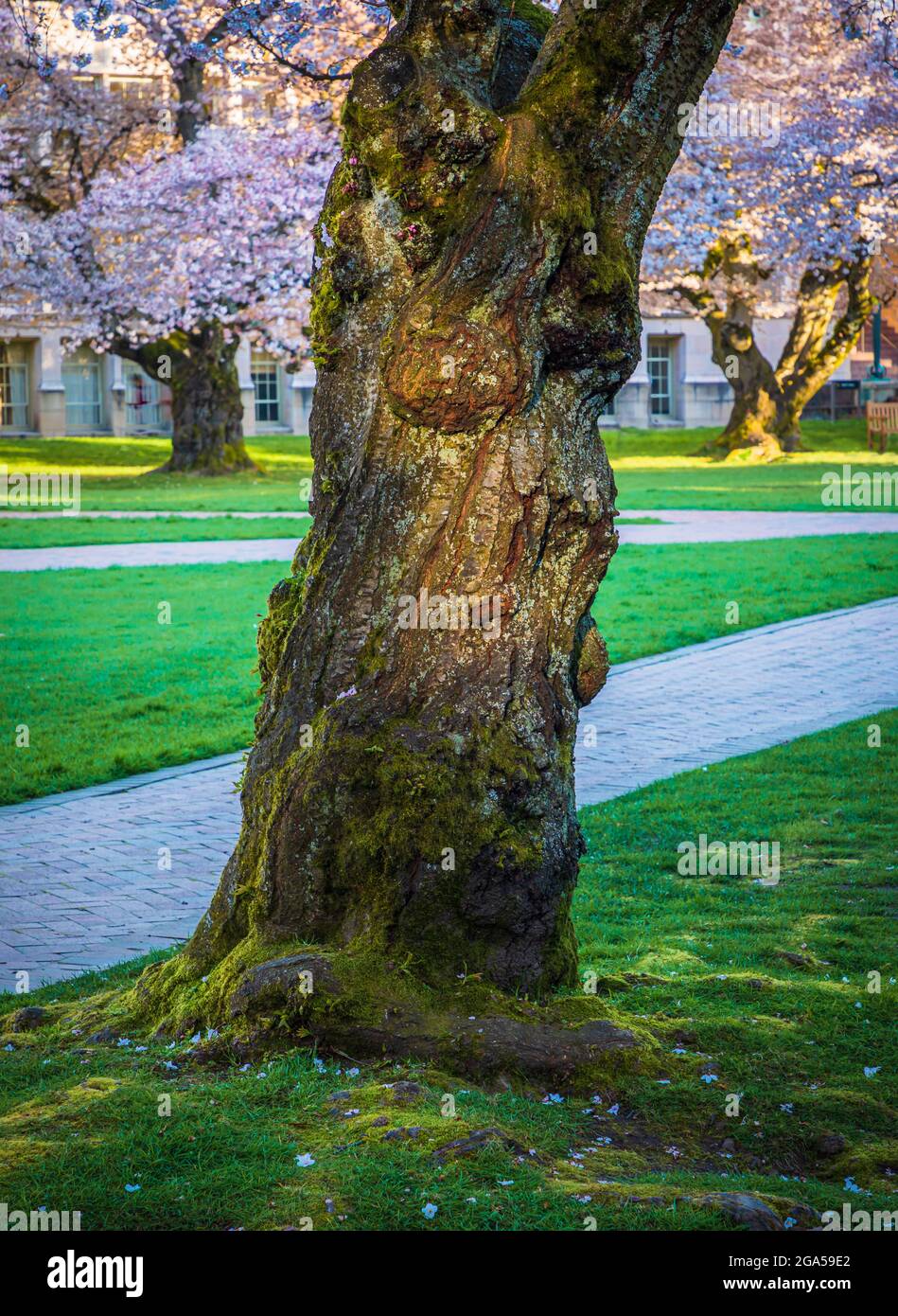 Us pathway paths pathways hi-res stock photography and images - Alamy