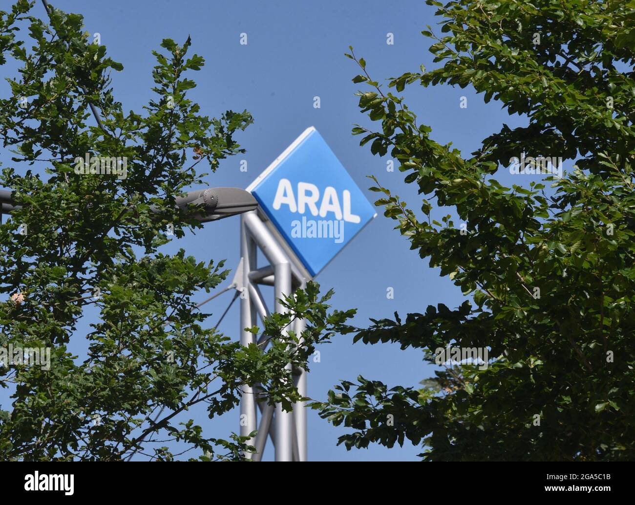 Aral trees hi-res stock photography and images - Alamy