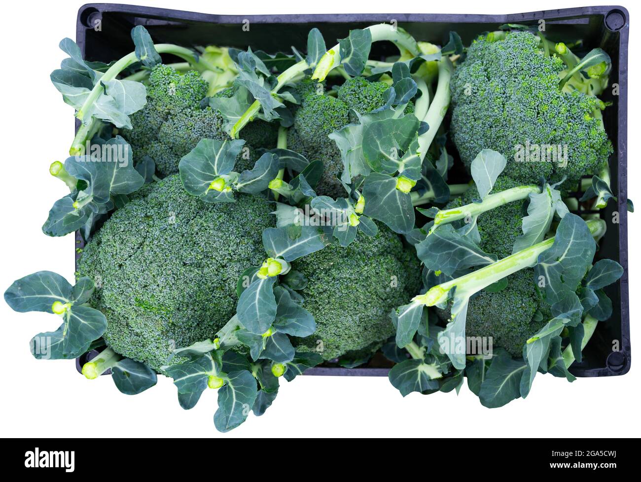Broccoli in crate, isolated on white Stock Photo - Alamy