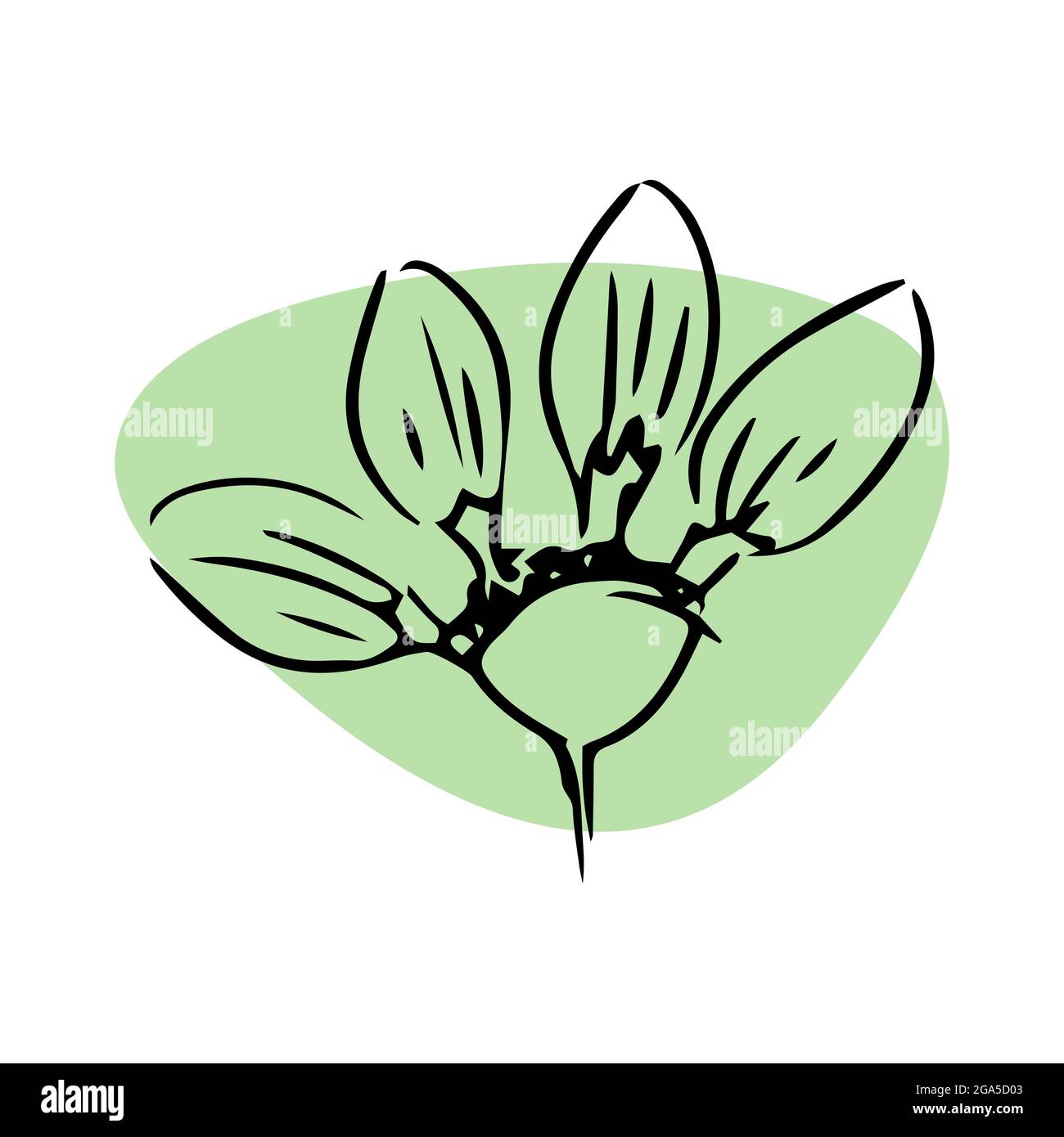 Daisy with abstract shapes hand drawn illustration. Line art. Isolated ...